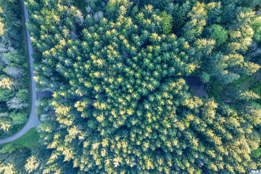 port townsend washington zip code